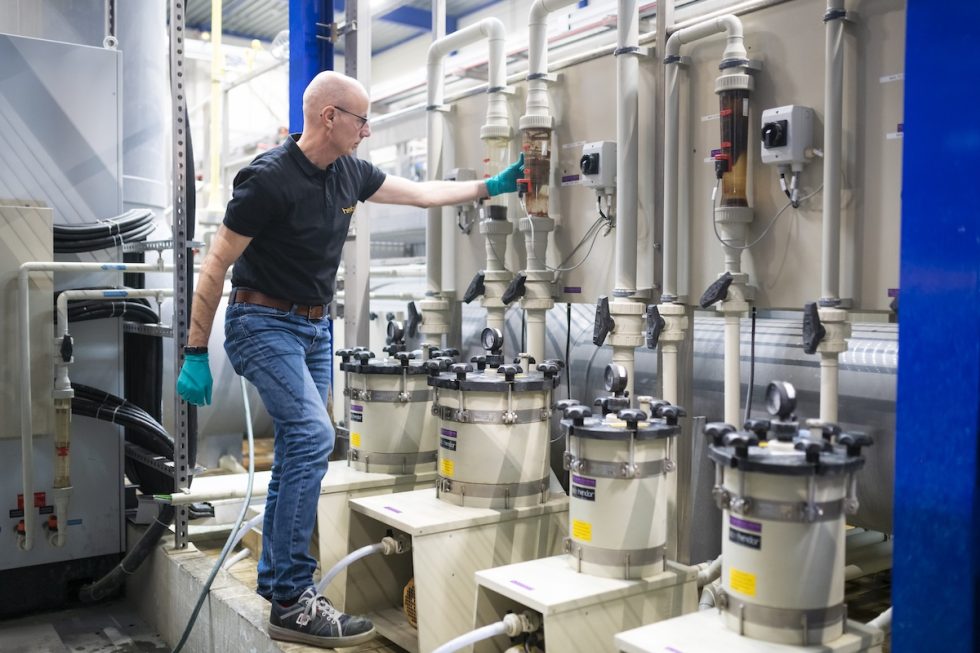 Hendor - Hendor-PE Japan